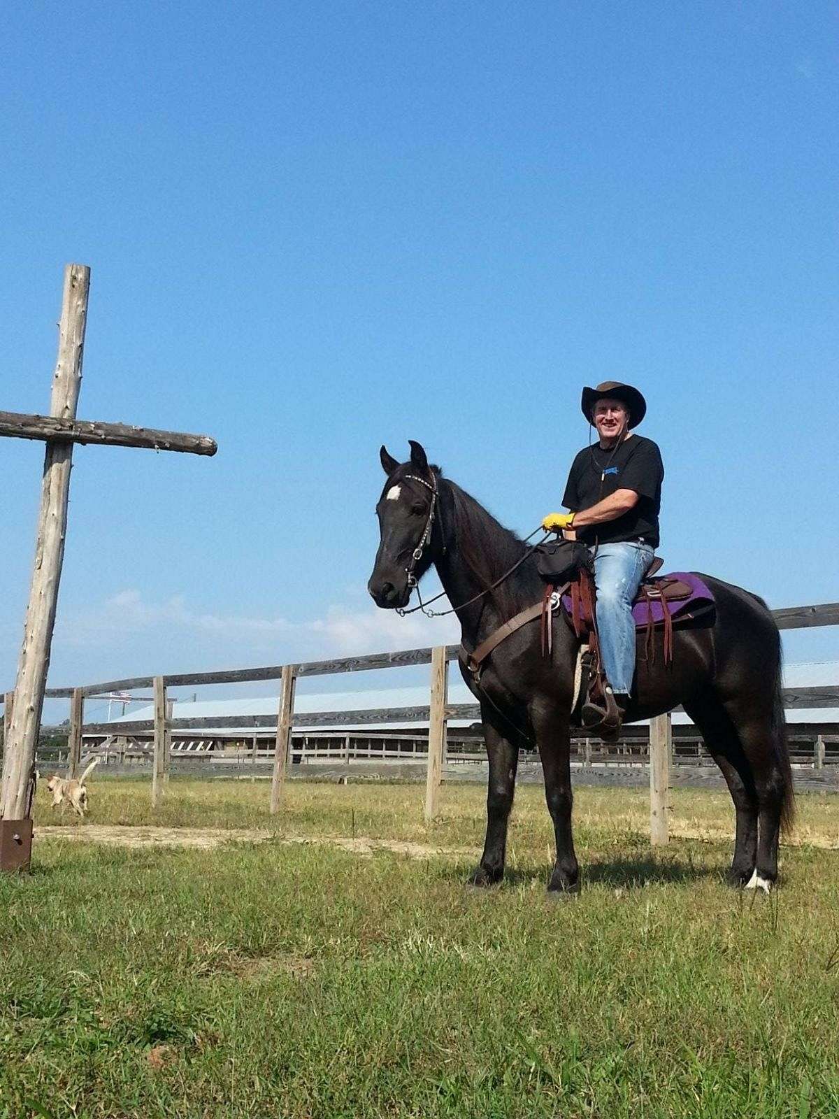 Lazy J Ranch on EquineNow