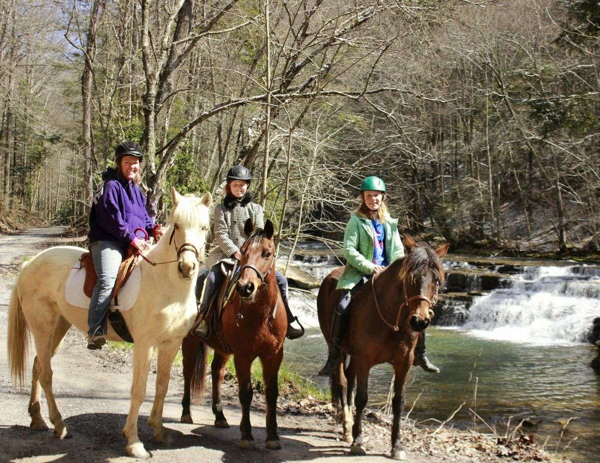 Rogue Ranch on EquineNow