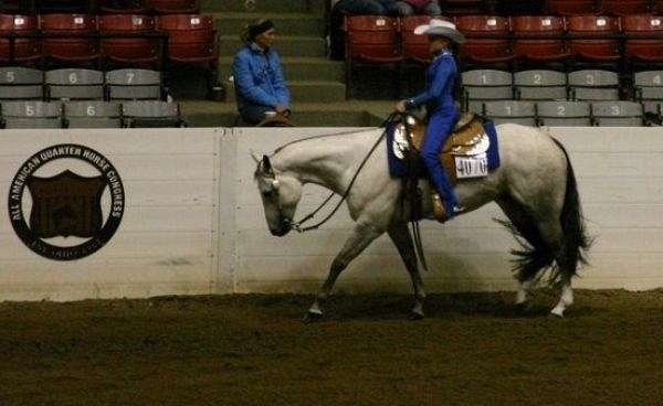Silver Star Farm on EquineNow