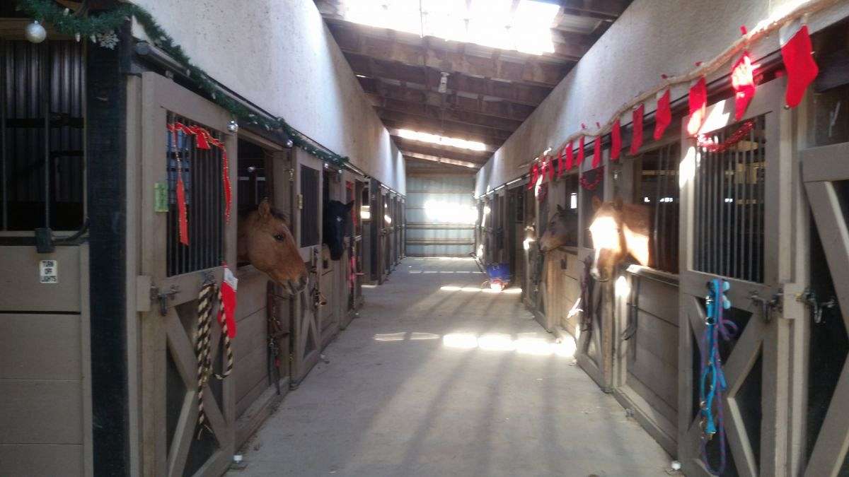 Timber Ridge Farm on EquineNow