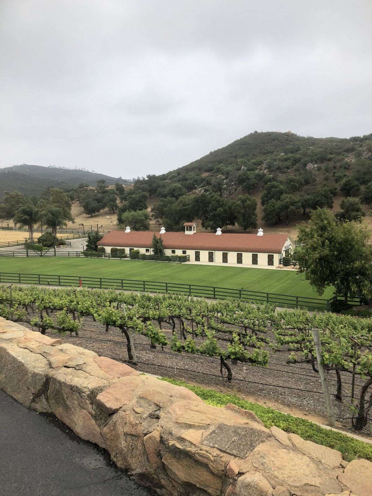 Melrose Ranch on EquineNow