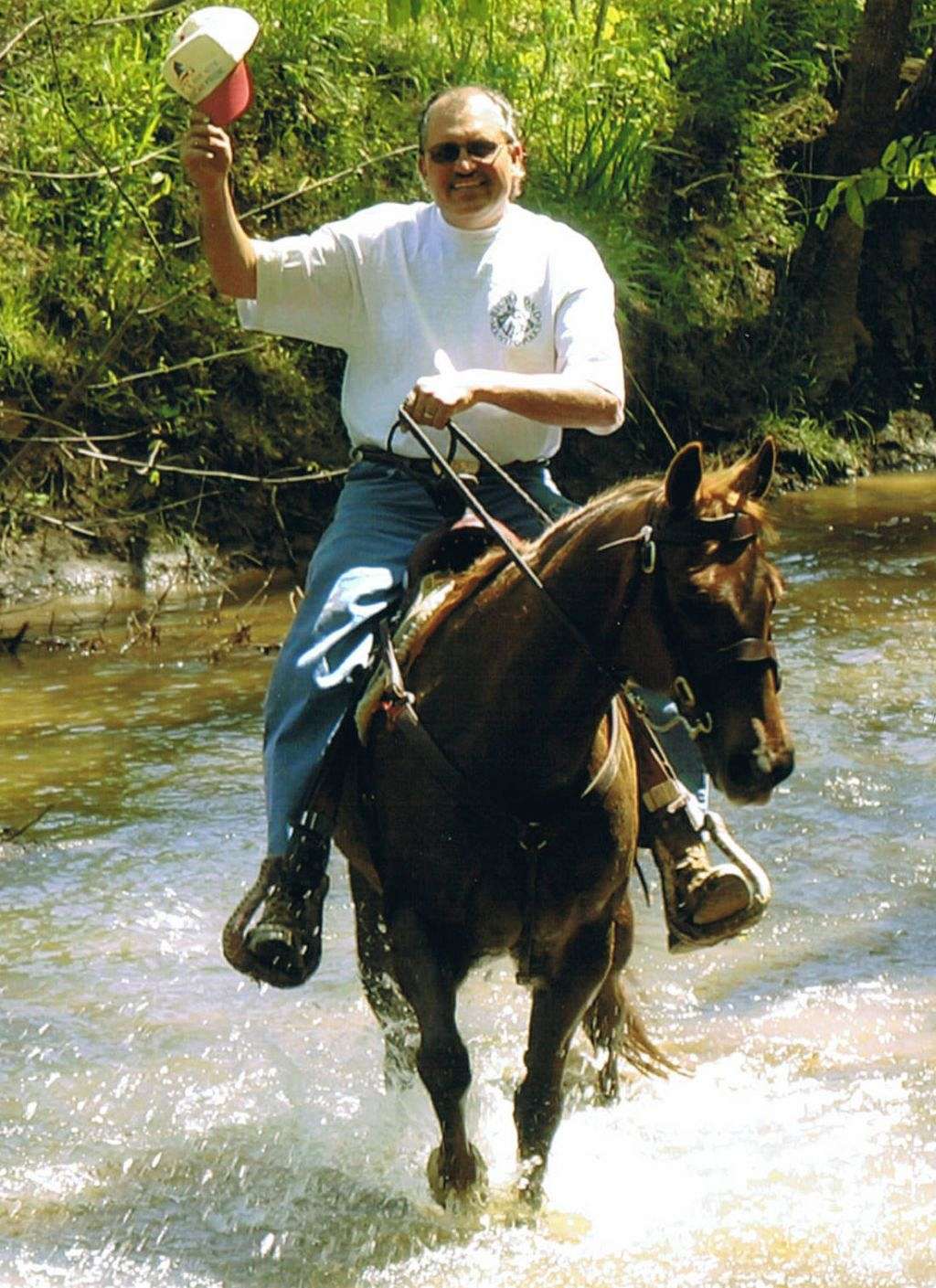 Beaver Hollow Farm on EquineNow