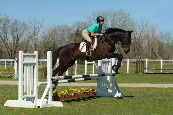 Trinity River Farm Equestrian Center on EquineNow