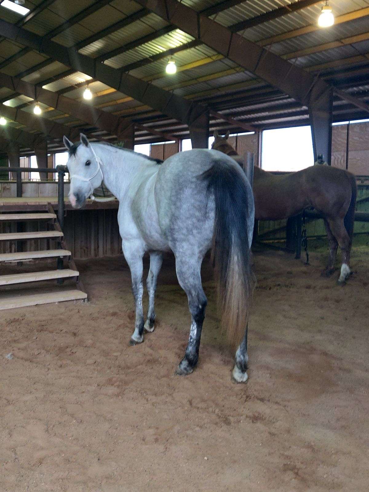 Winter Creek Farms on EquineNow