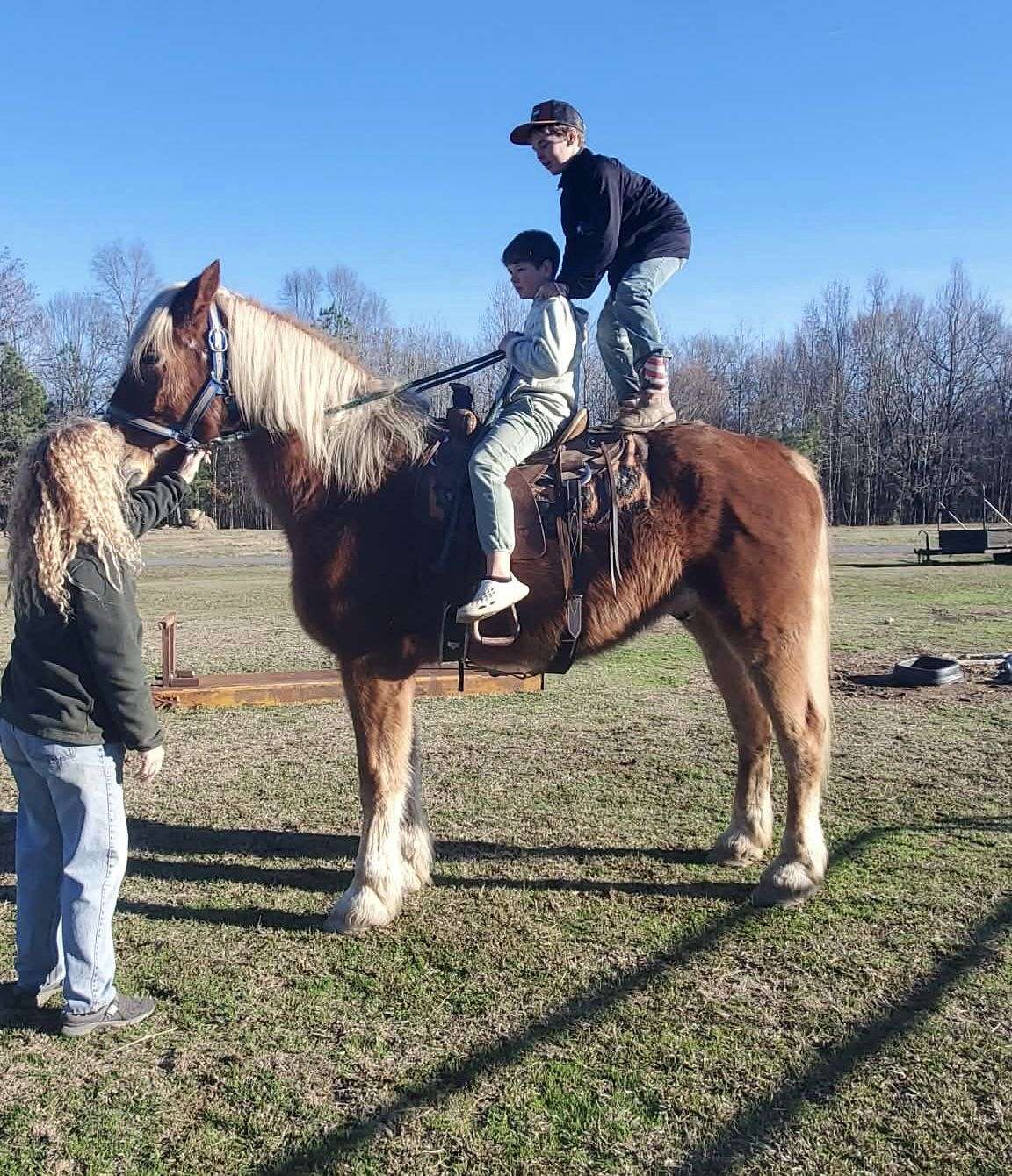 Super Gentle Pony Rides and Drives for Anyone!