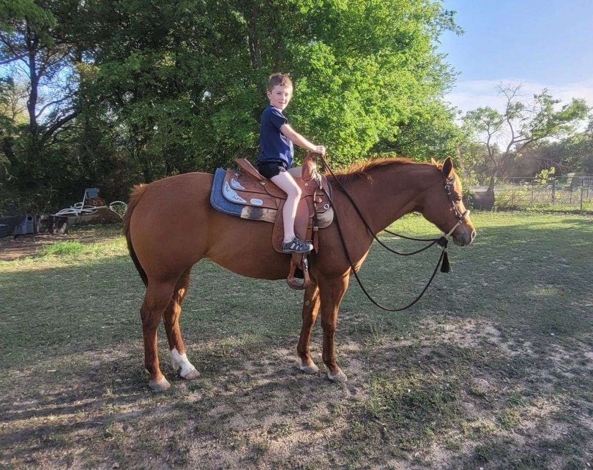 2010 AQHA Sorrel - Miss Cool Package - Amazing Pedigree by Smash My Package