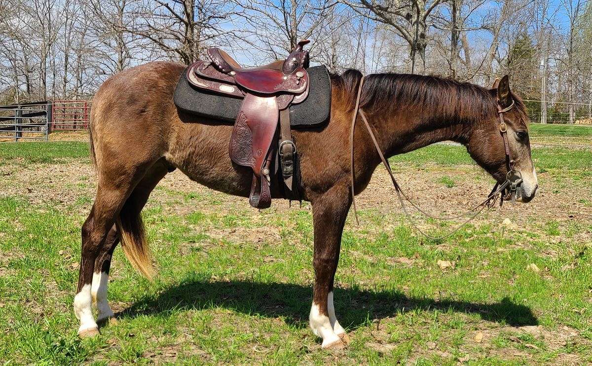 Great All Around Prospect - Sale Pending