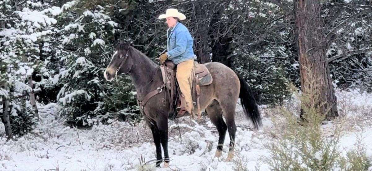 Team Roping Horse - Steele - Updated Video