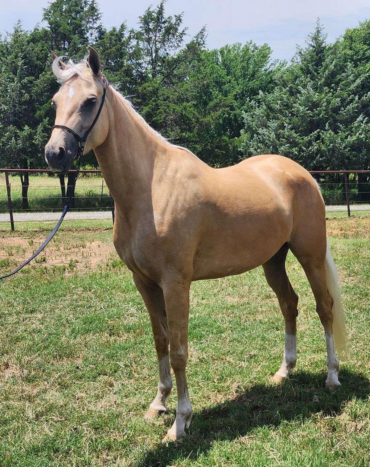 Carmen Crem Dela Crem