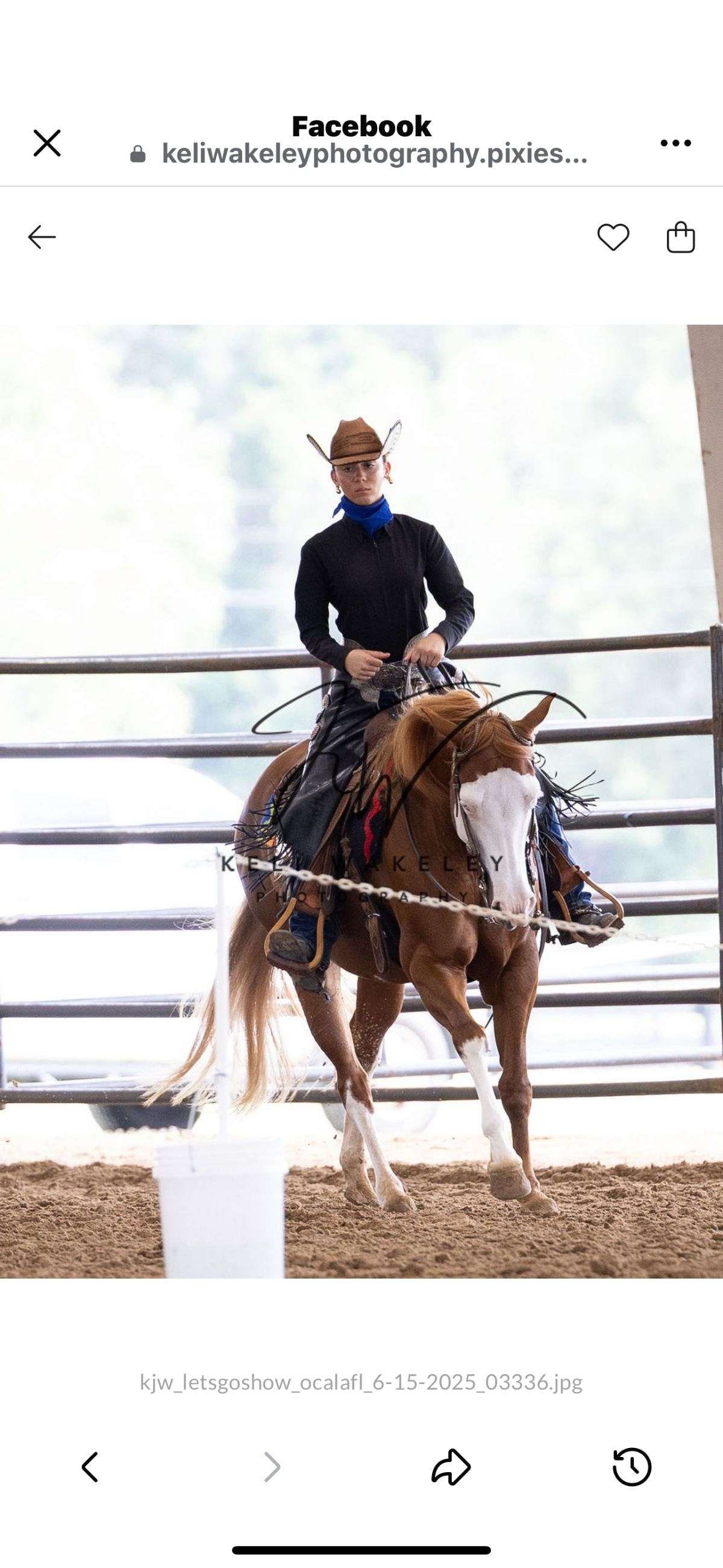 Fancy English Prospect, Stride for Days.