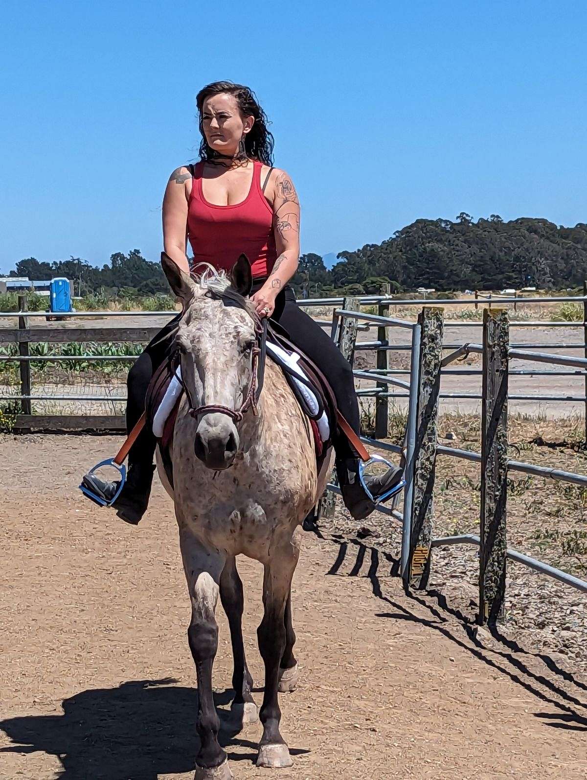Stunning 5 Year Old Buckskin With Some Rare Peacock Spotting Appaloosa