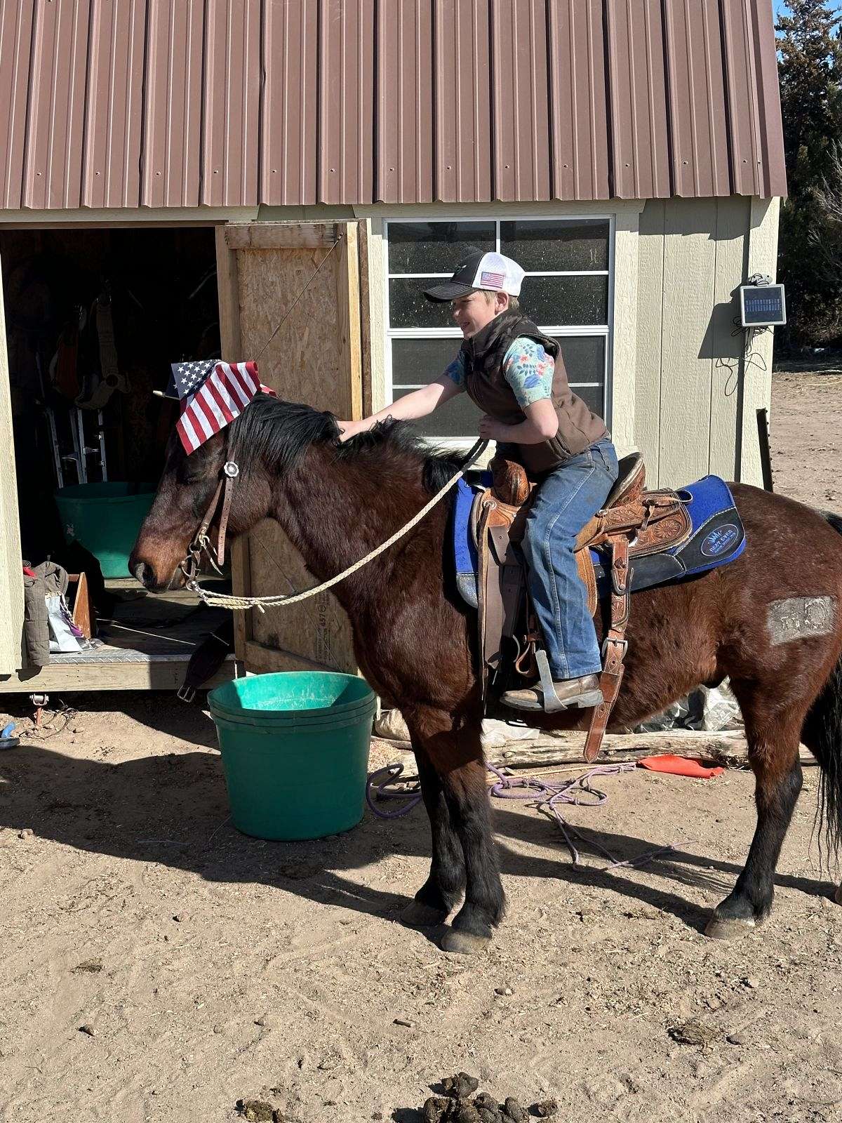 Solid, Proven All Around Ranch Pony
