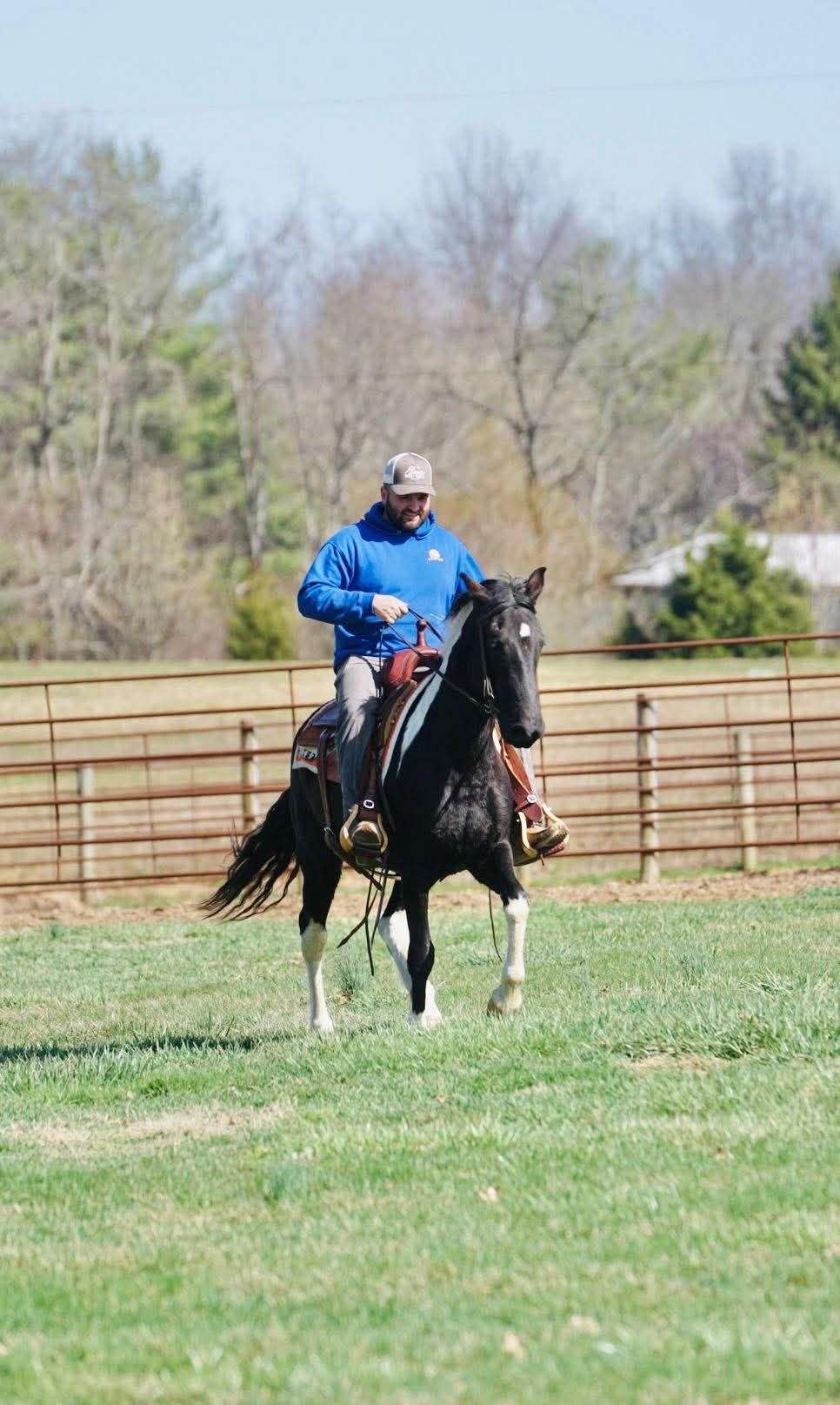 Miss Raja - Sweetest Trail-Riding Saddle Horse