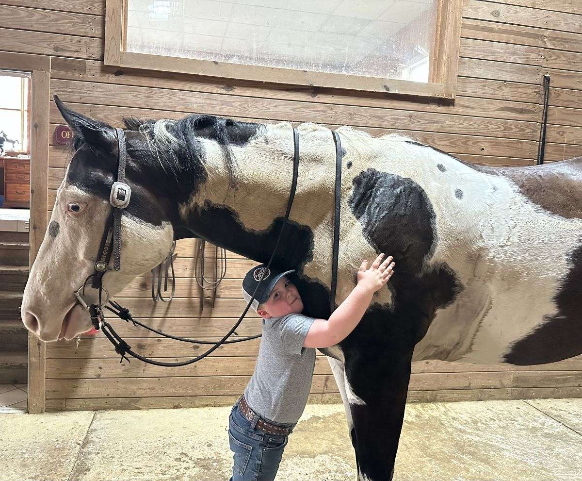 Double Registered Paint/Pinto Gelding Best Horse Money Can Buy