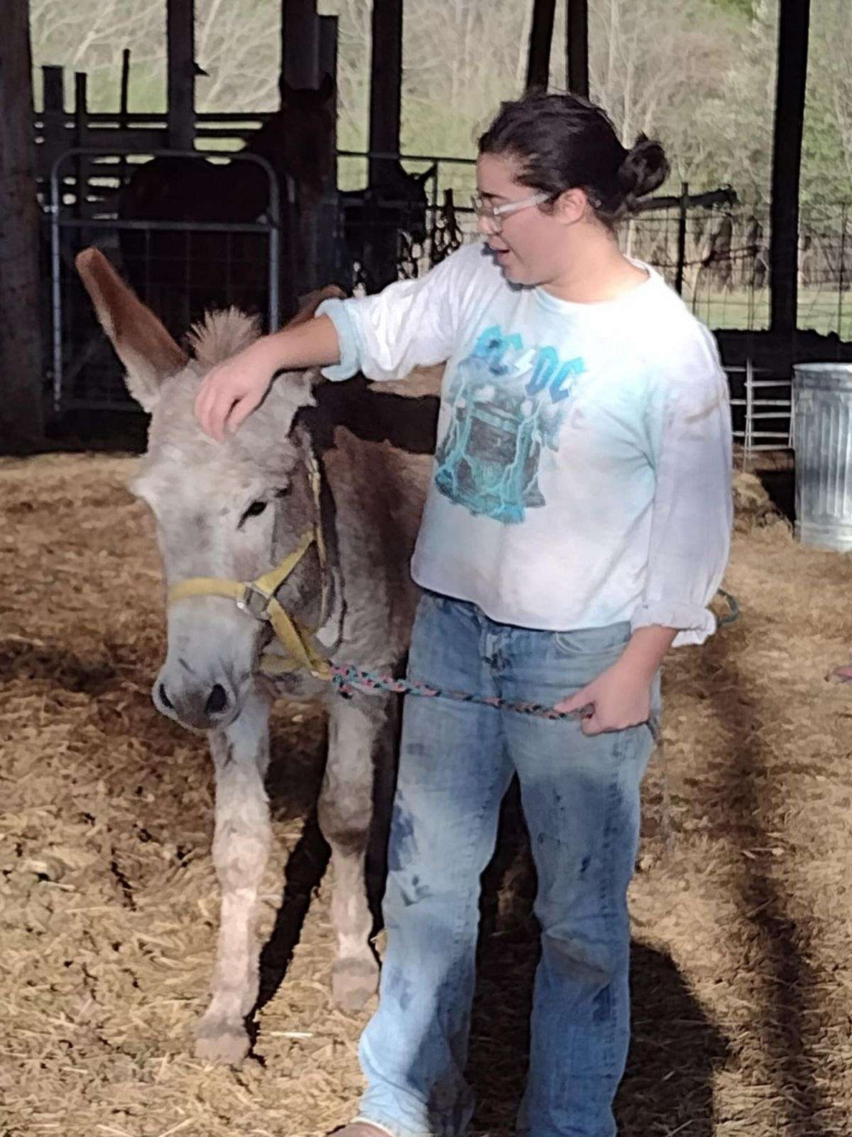 Super Friendly Donkey