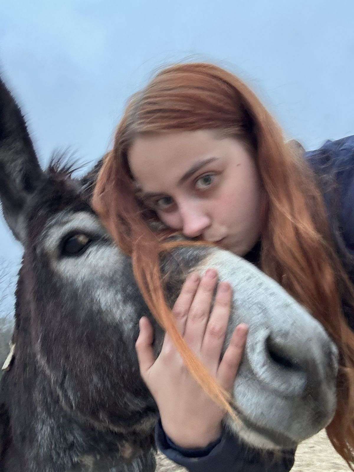 Sweet Donkey/ Herd Protecter