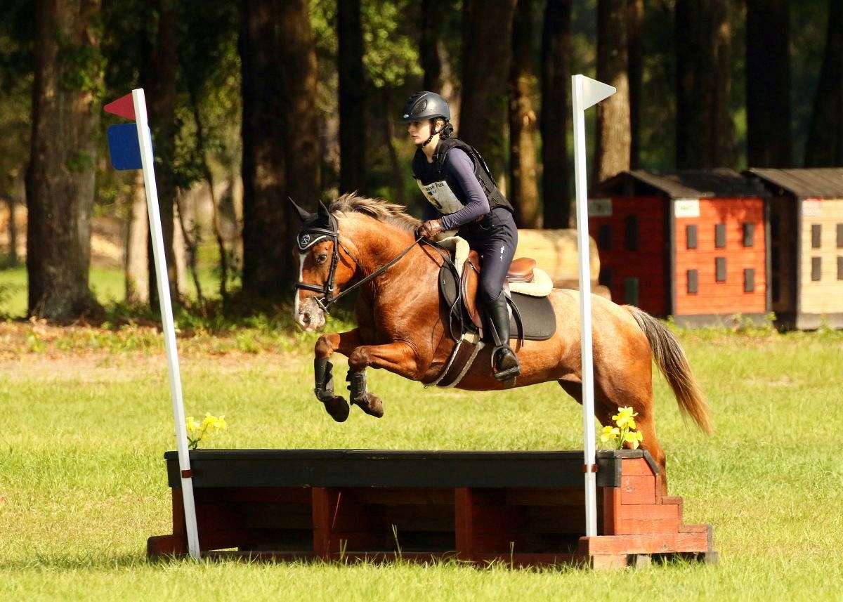 Powerpuff Super Pony--Harmony Bunny--Safe 2019 Medium POA Mare