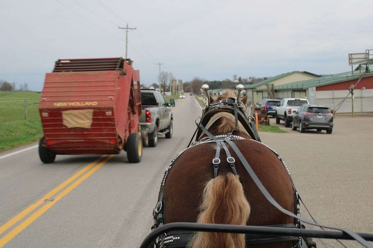 Kid Broke Draft Cross