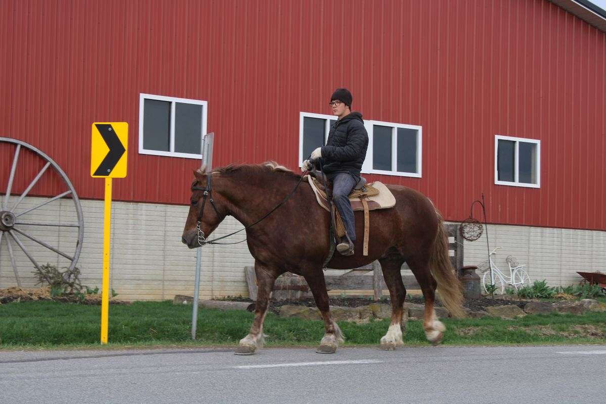 Kid Broke Draft Cross