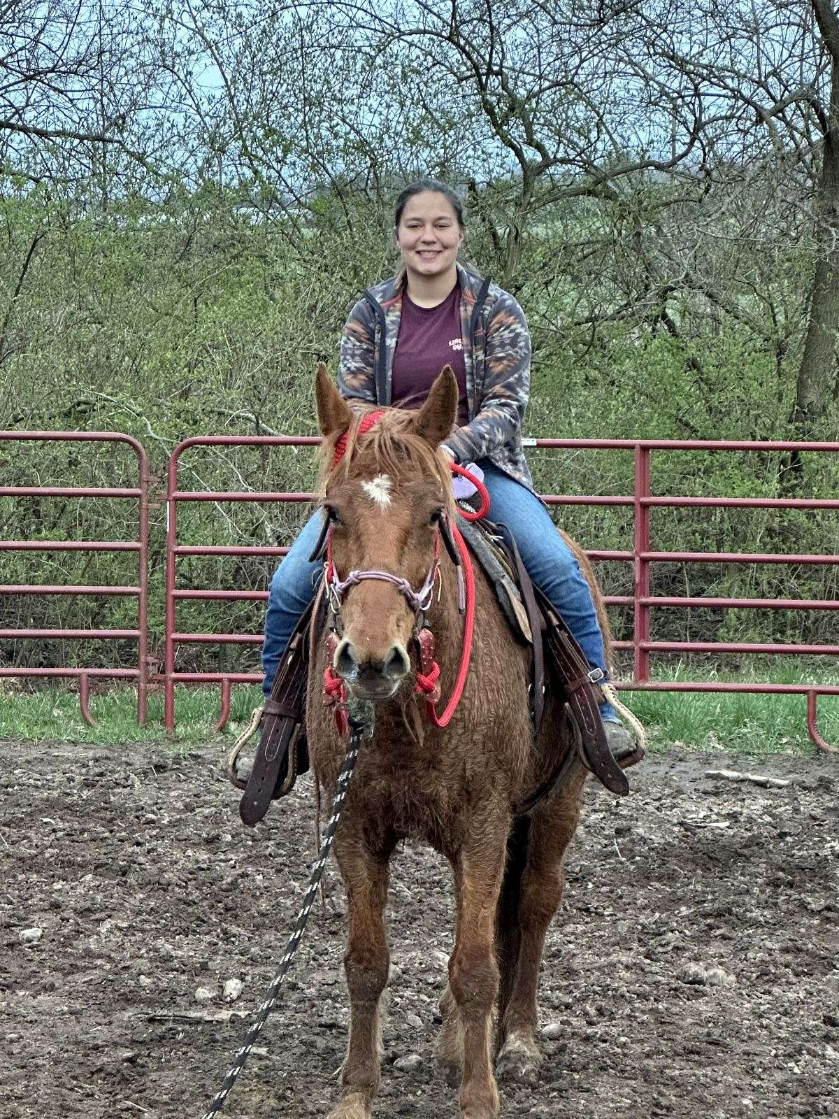 Project Horses or Pasture Pets!