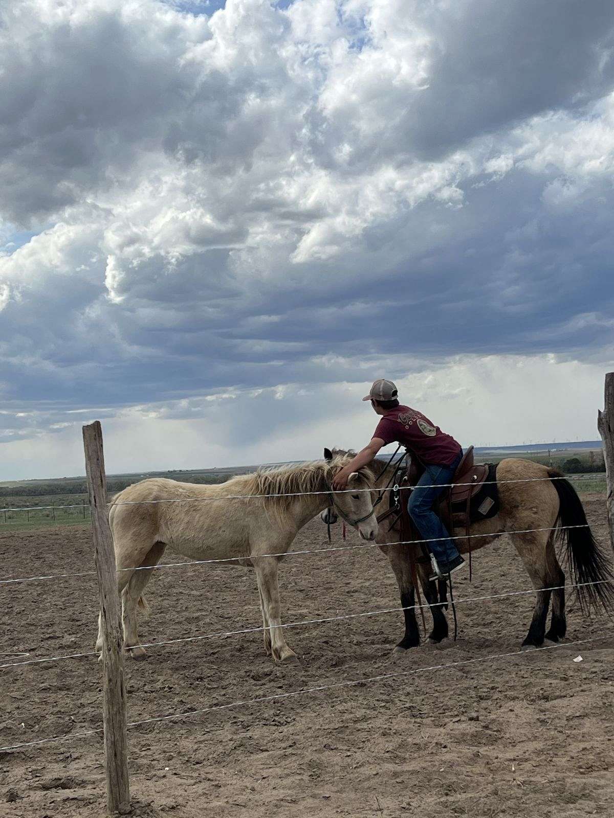 Sparkles, the Best Buckskin Pony!