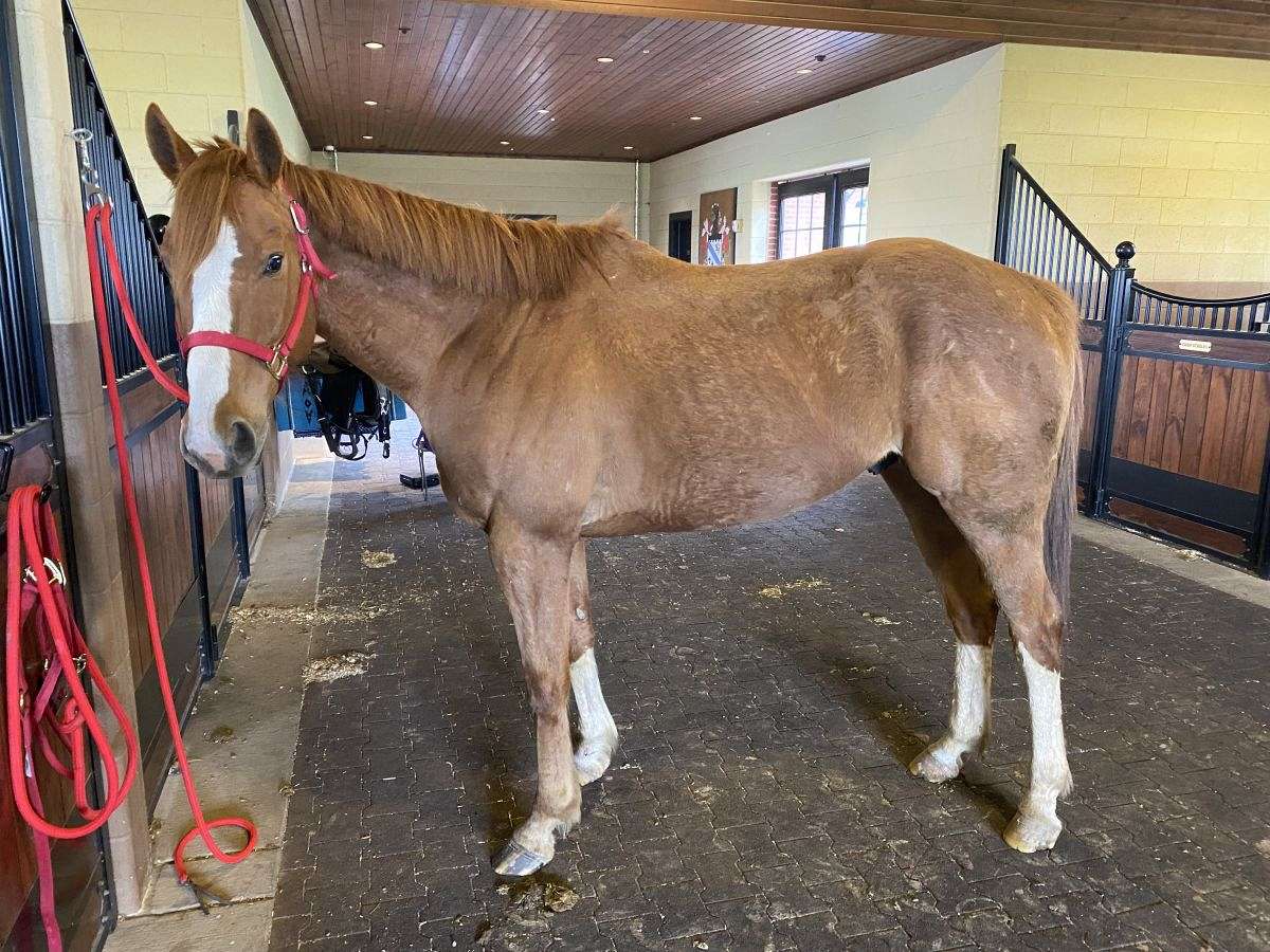 Burke” JC- Thacker Fromm