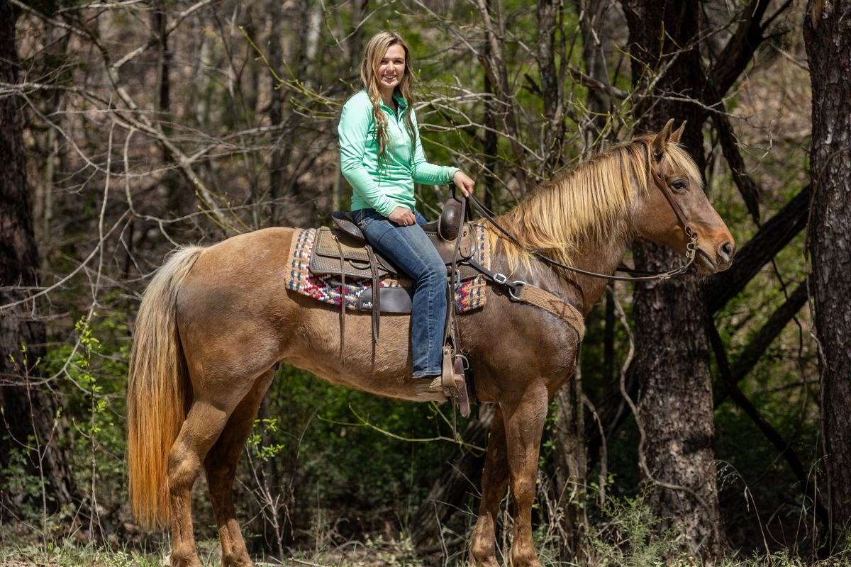 Cinnamon * Beautiful Registered Chocolate Roan Rocky Mountain Mare