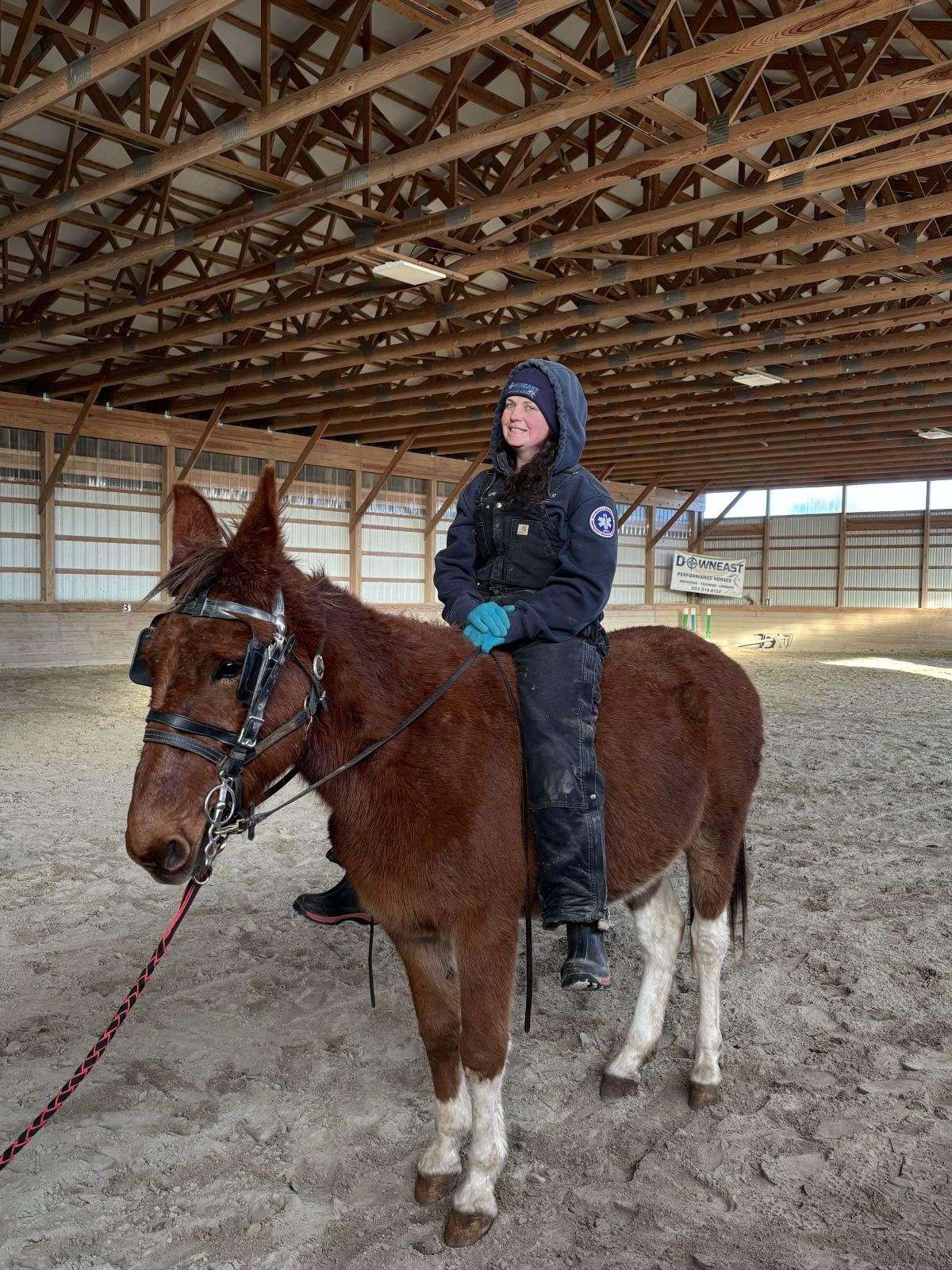 Bonded Pair of Mules