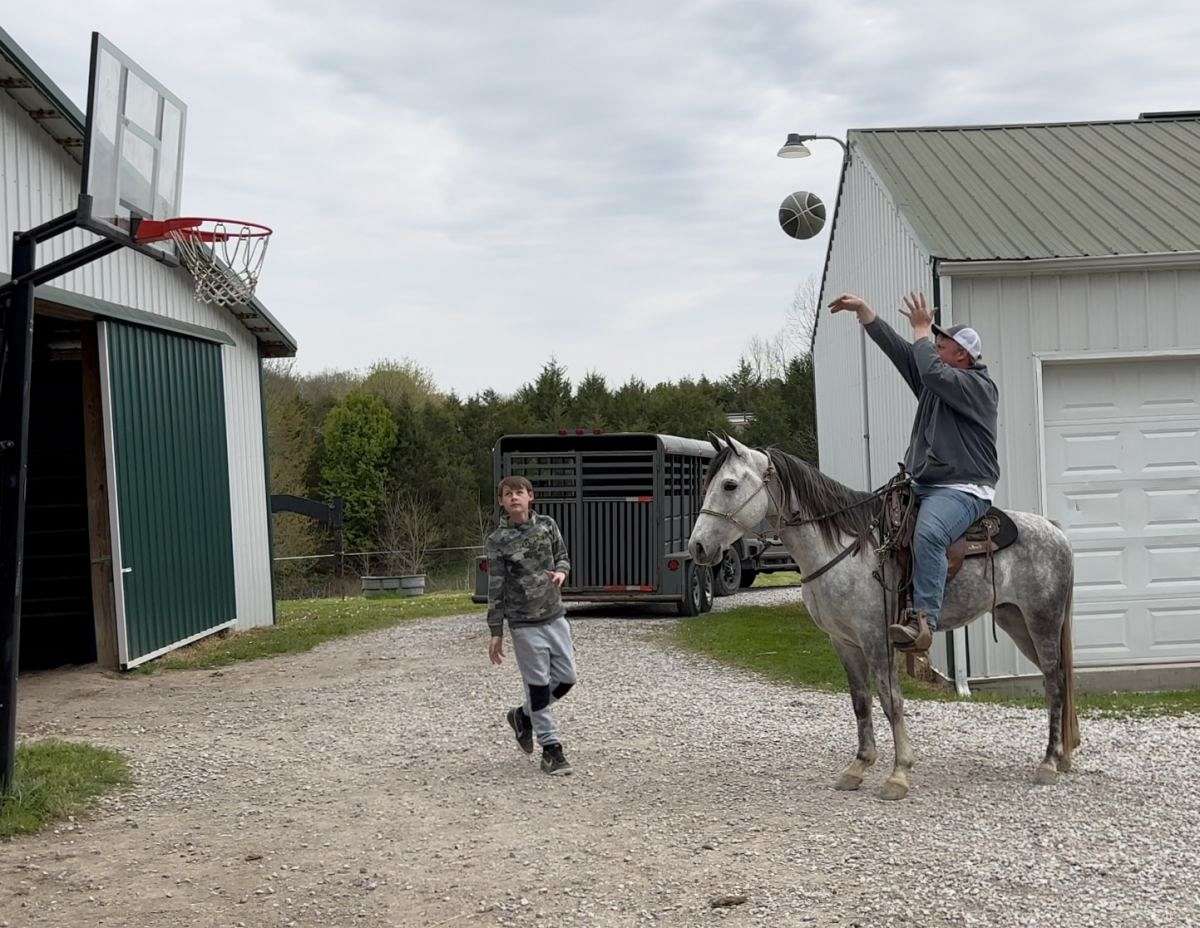 Pistol Pete: a Beautiful TWH That is As Cute As a Button!