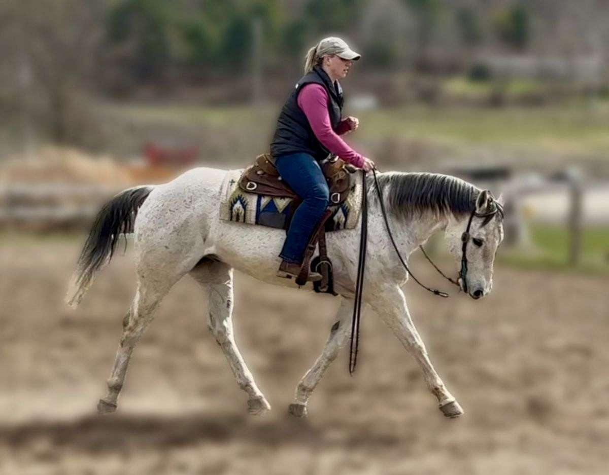 Working Ranch, Show, Trail