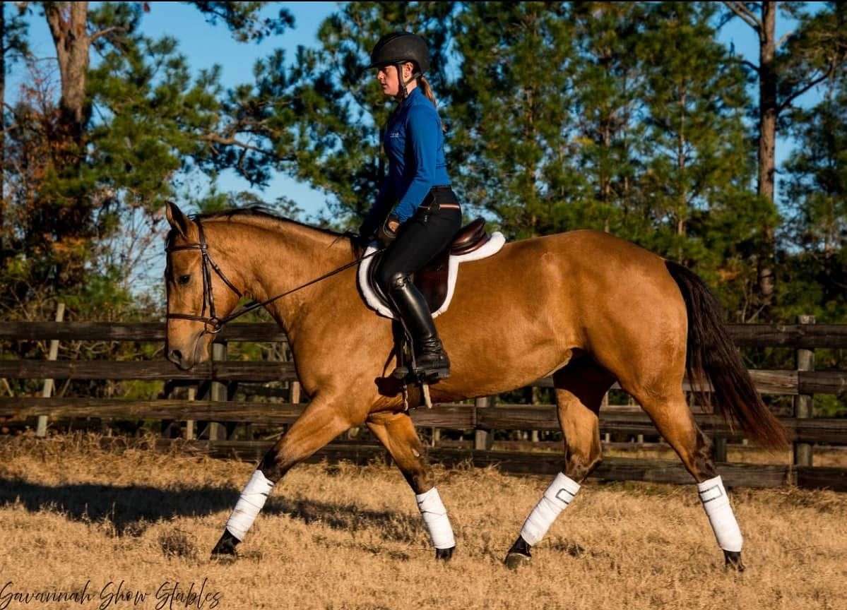 Miss Quackers - Beautiful All Around Horse 6 Yr Old Buckskin QH Mare!