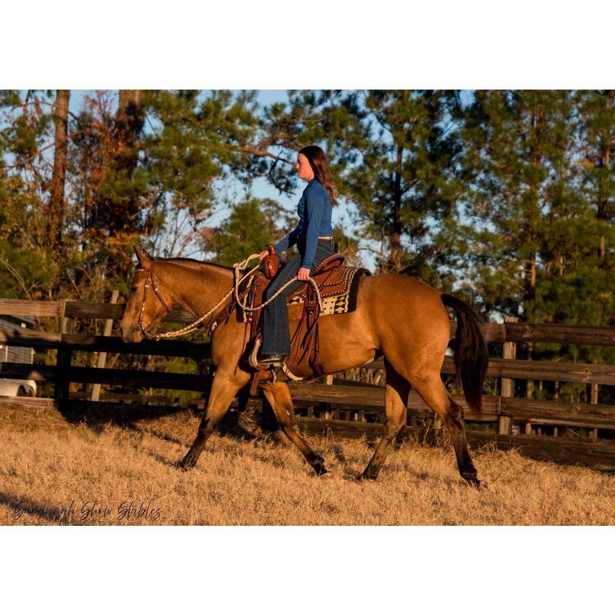 Miss Quackers - Beautiful All Around Horse 6 Yr Old Buckskin QH Mare!