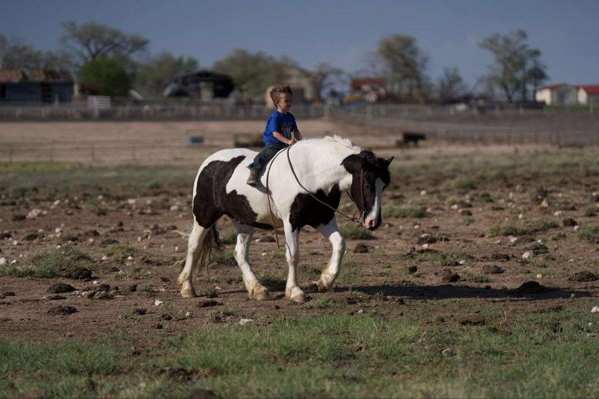 Klondike - Trustworthy and Gentle 6 Yr Old Paint Gypsy Vanner Gelding!
