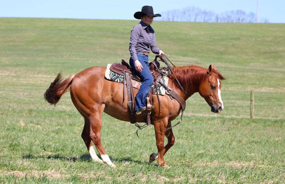Jodie - Exceptional Roping & Working Cowhorse Deluxe 8 yo Sorrel AQHA Mare!