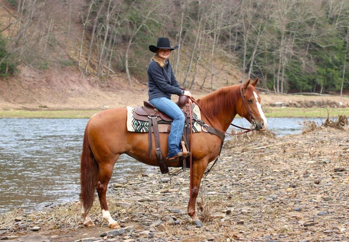 Jodie - Exceptional Roping & Working Cowhorse Deluxe 8 yo Sorrel AQHA Mare!