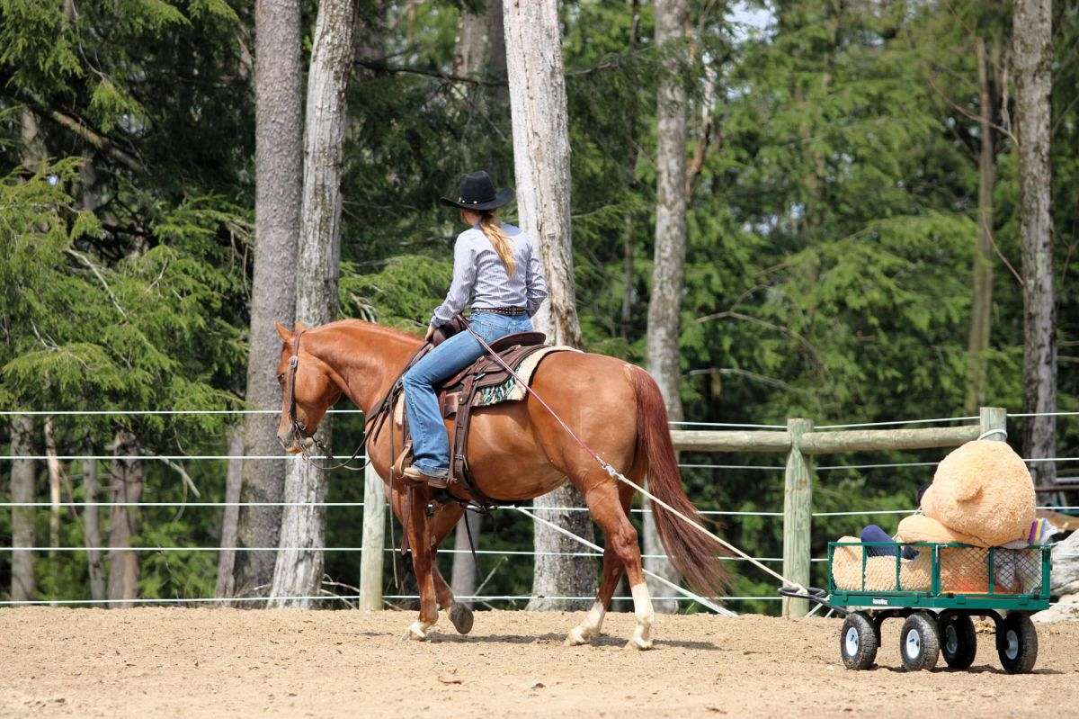 Jodie - Exceptional Roping & Working Cowhorse Deluxe 8 yo Sorrel AQHA Mare!