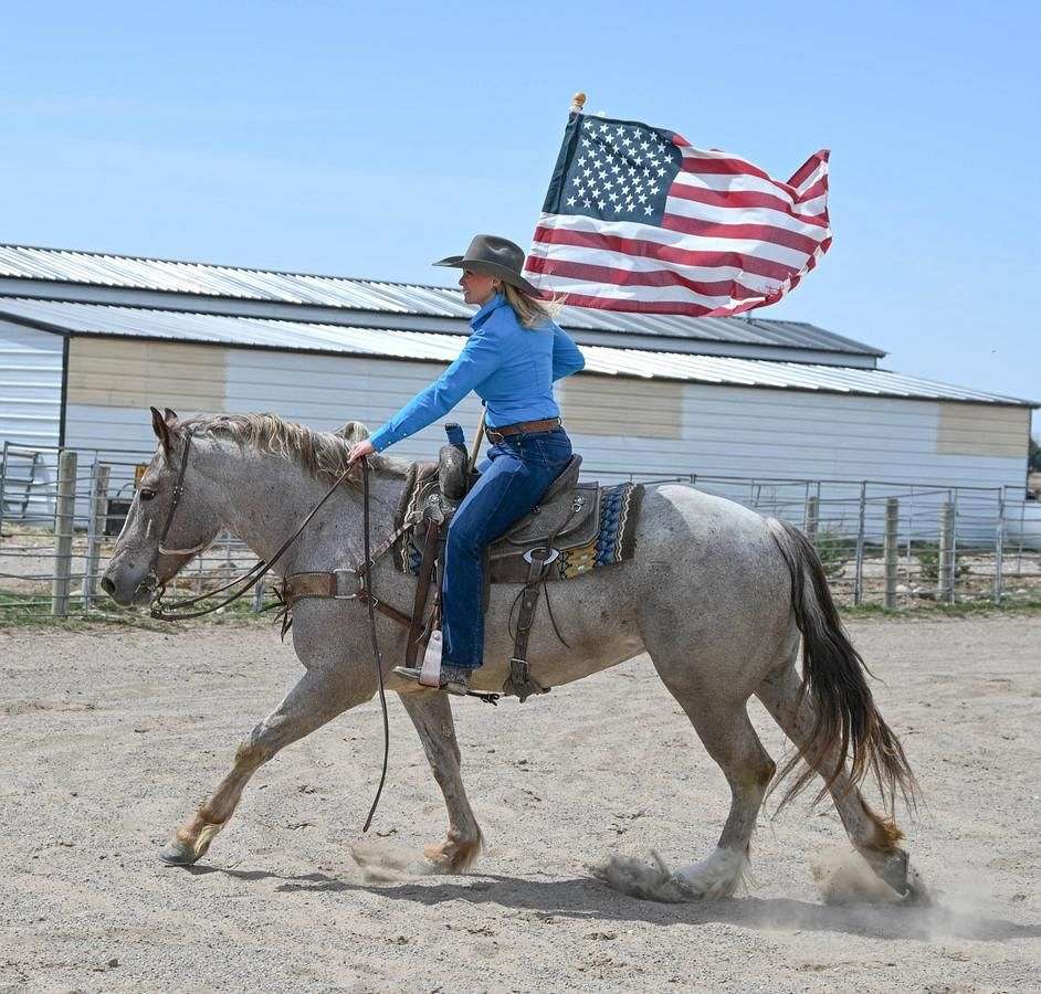 Dazzle - a Total Dream Horse 4 Yr Old Strawberry Roan Crossbred Mare!