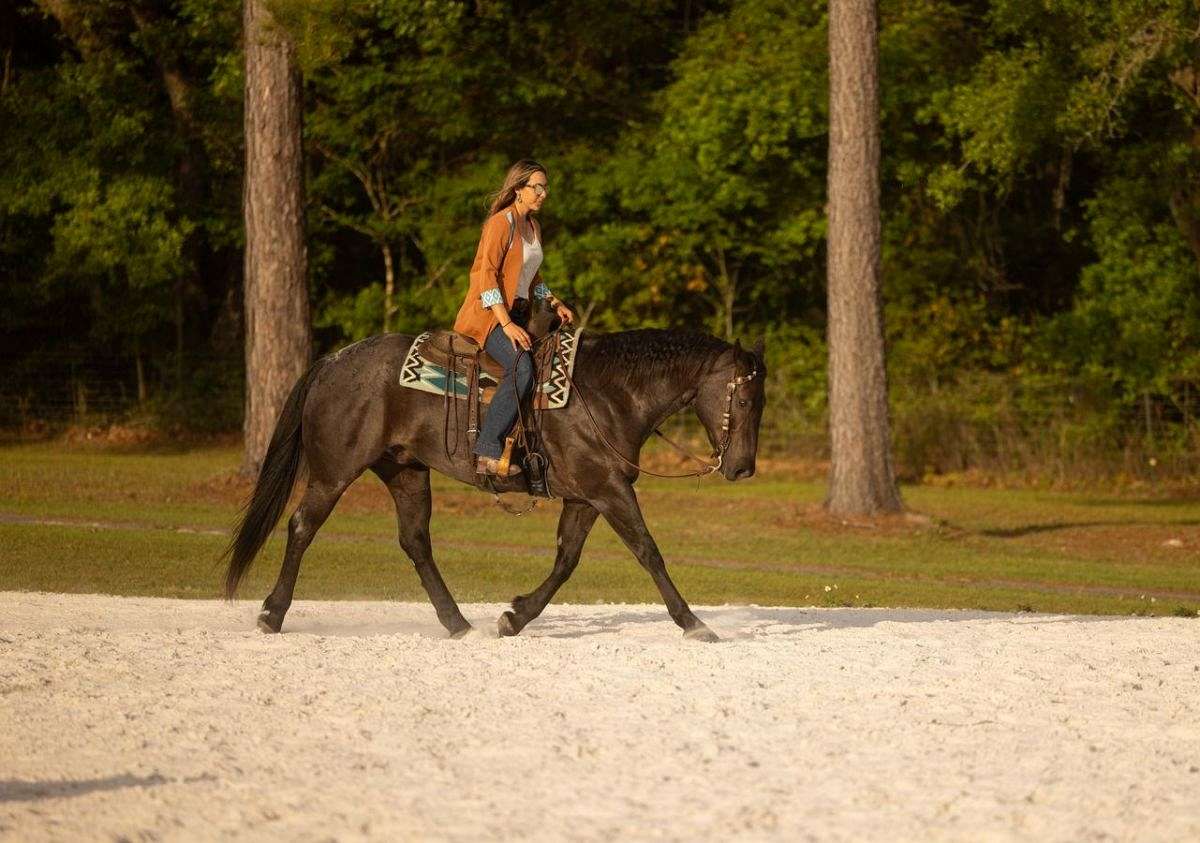 Blue - Seasoned Ranch Horse 9 Yr Old Blue Roan Quarter Horse Gelding!