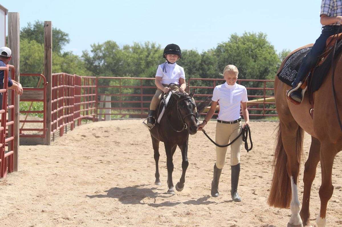 True All-Around 7yo 12hh Welsh X Pony Gelding