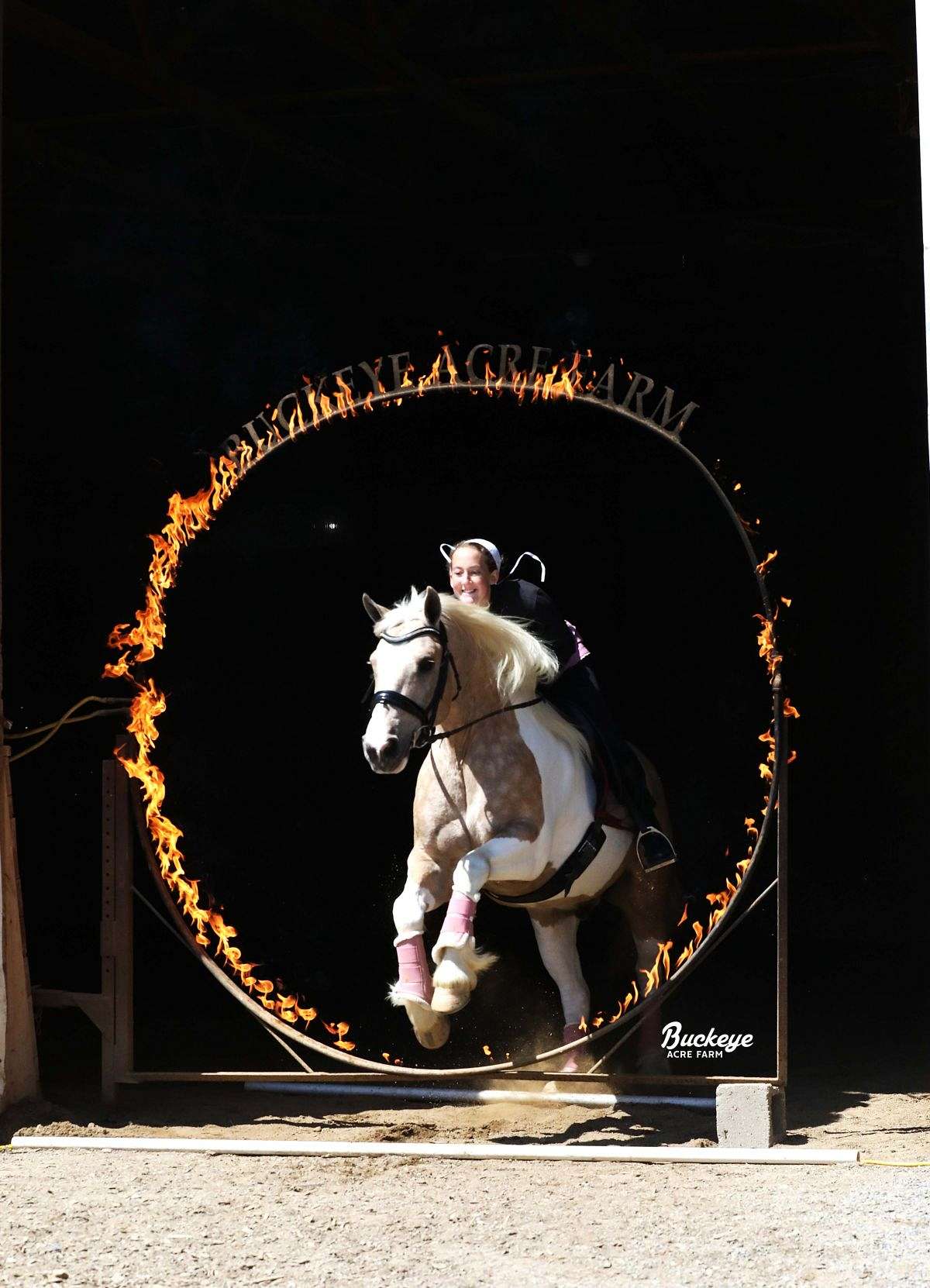 Twinkie is the Definition of Special. This Gorgeous 2019 Model Gypsy Cross