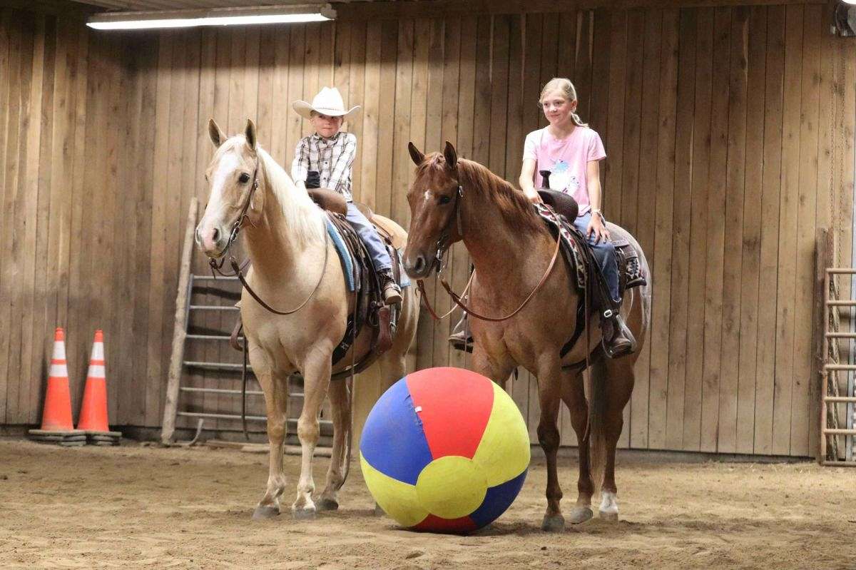 Jasper - Absolutely Stunning Ranch & Trail Horse 8 yo Palomino AQHA Gelding