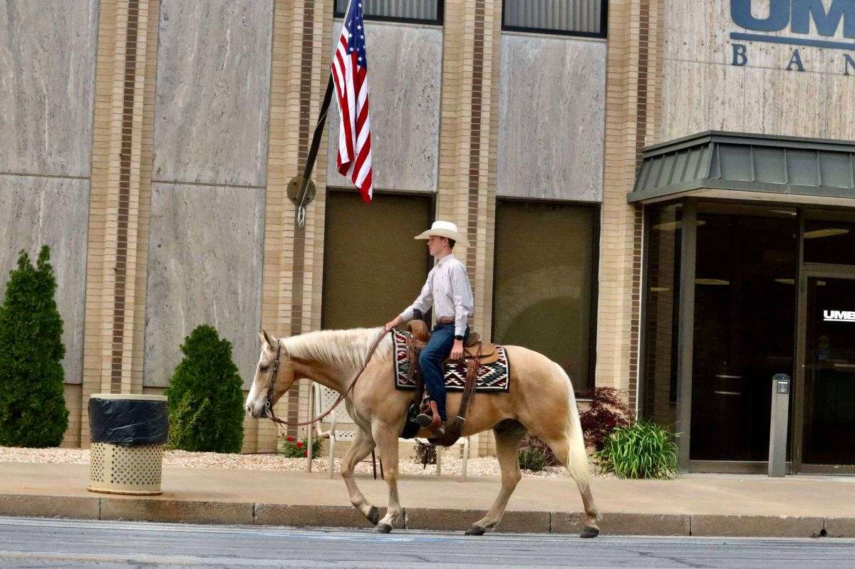 Jasper - Absolutely Stunning Ranch & Trail Horse 8 yo Palomino AQHA Gelding