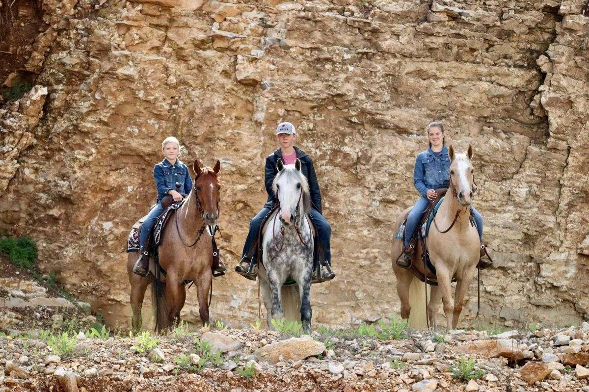 Dakota - Fancy All-Around Horse 5 yo Paint Gypsy Friesian Cross Gelding!