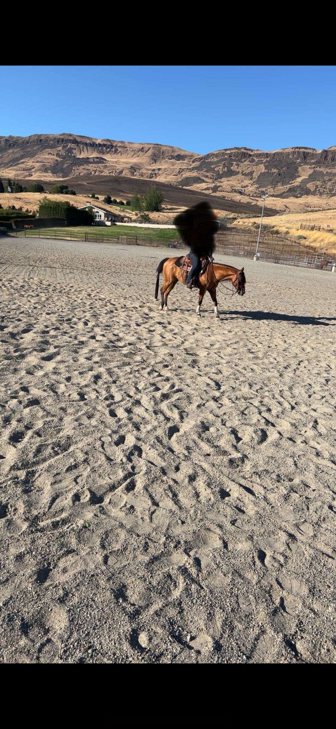 Pretty & Sweet AQHA Mare!
