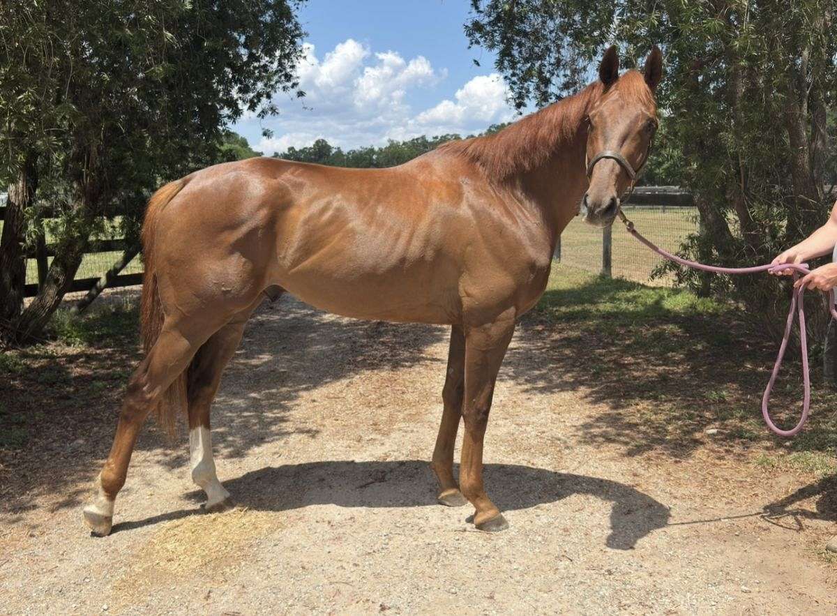 Super Laid Back Project!