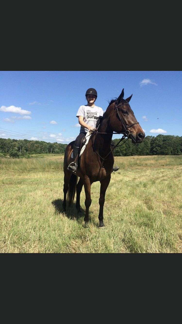 Tina a Sweet Mare You Can't Help But Love