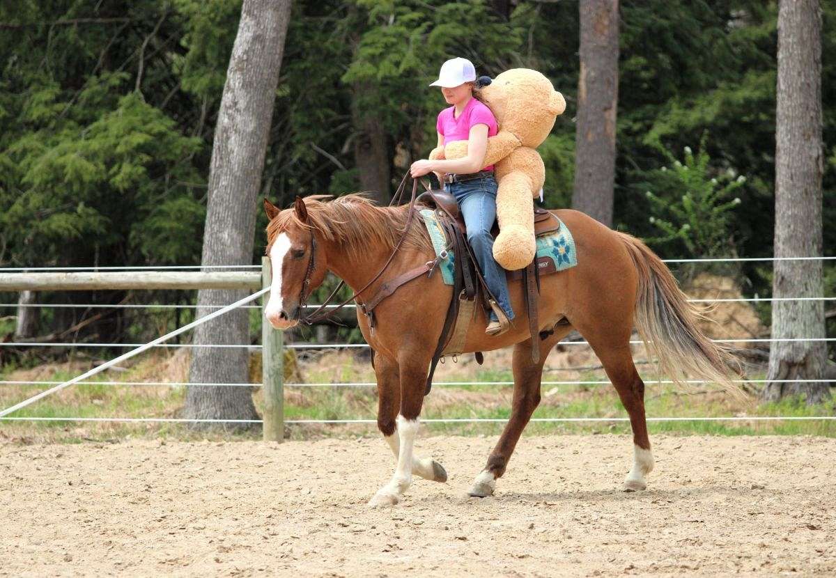 Rolex - Very Flashy & Attractive 7 Yr Old Dun Quarter Horse Gelding!