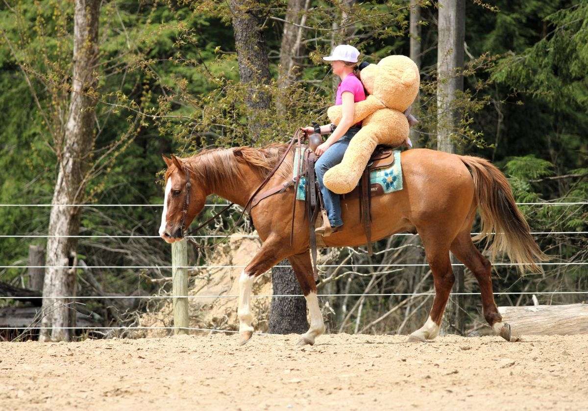 Rolex - Very Flashy & Attractive 7 Yr Old Dun Quarter Horse Gelding!