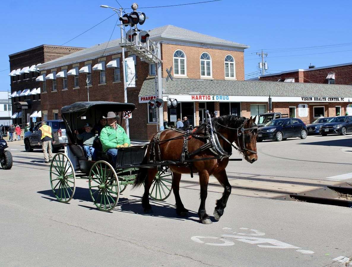 Meatloaf - All-Around Versatile Horse 9 Yr Old Bay Belgian/QH Cross Gelding