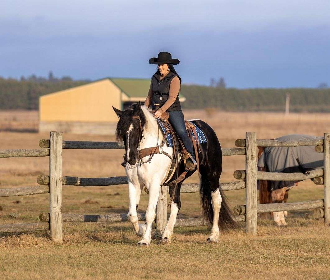Marilynn - Absolutely Breathtaking 5 Yr Old Black & White FBHR Mare!